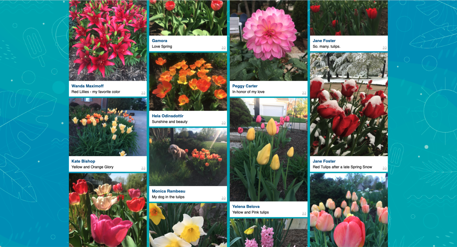 30 Best Photo Scavenger Hunt Ideas